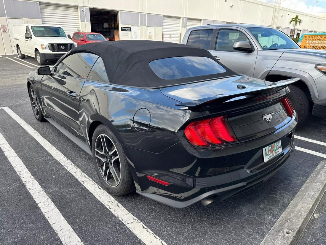 2020 Ford Mustang In Davie, Fl, United States For Sale (15072058)