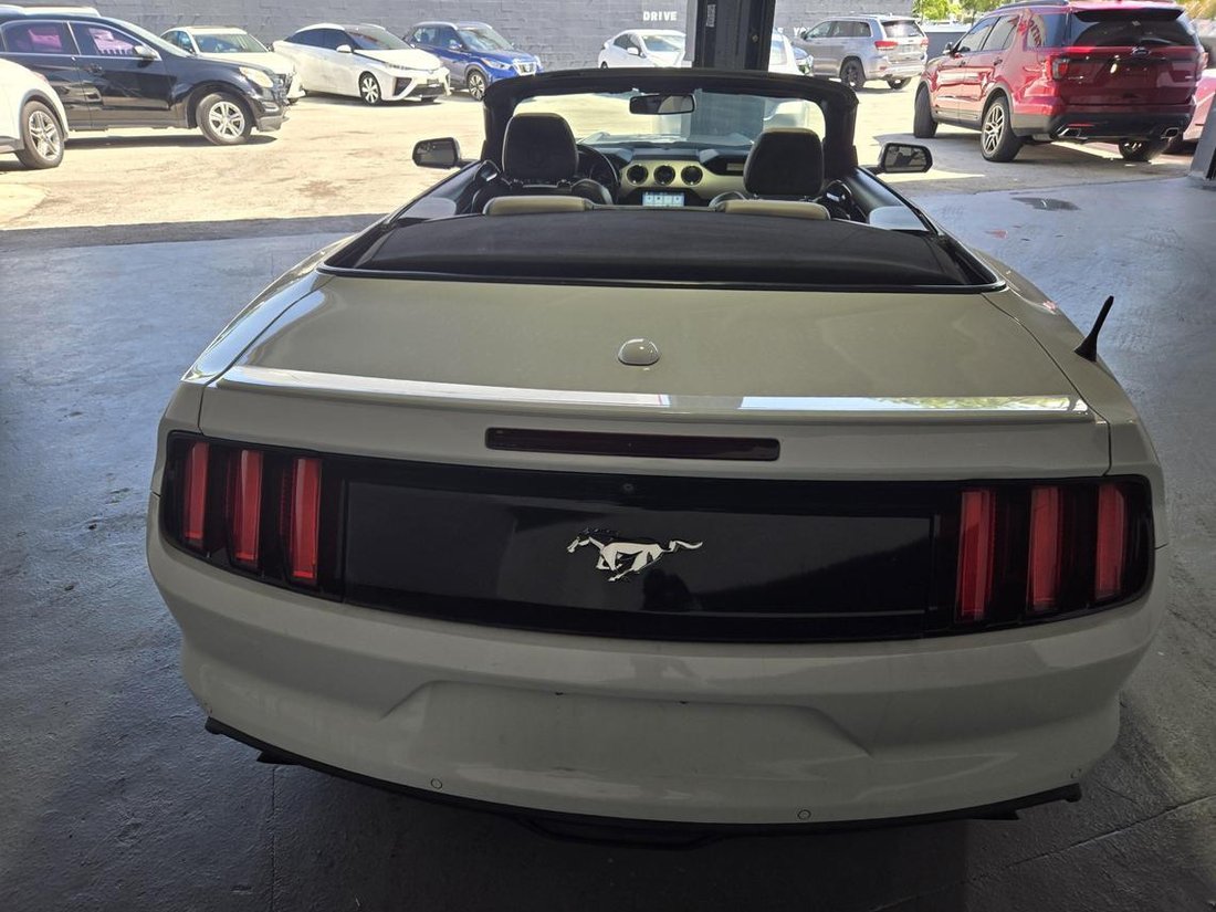 2016 Ford Mustang In Miami Gardens, Fl, United States For Sale (15079749)