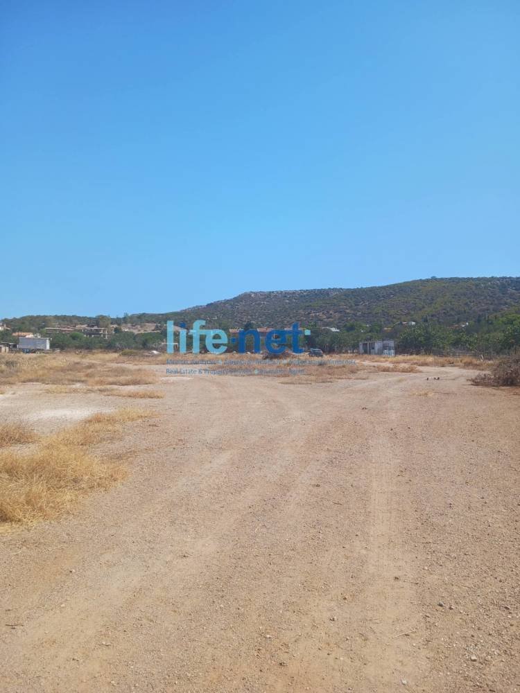 Plot 13000sqm In In Legrena, Decentralized Administration Of Attica ...