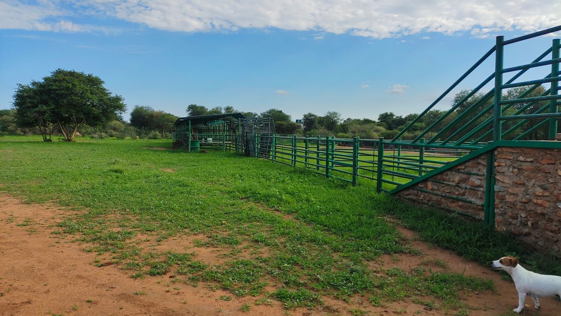 *Exceptional 951.5 Hectare Farm For Sale With In Alldays, Limpopo ...