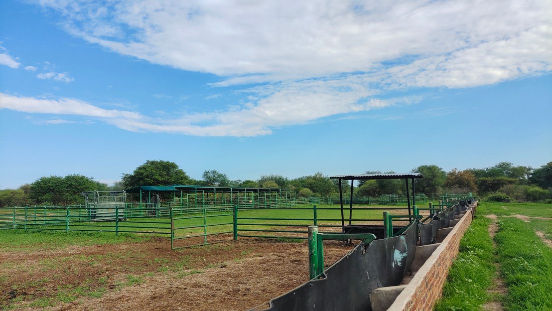 *Exceptional 951.5 Hectare Farm For Sale With In Alldays, Limpopo ...
