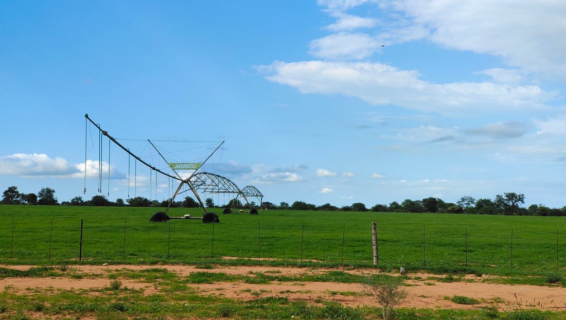 *Exceptional 951.5 Hectare Farm For Sale With In Alldays, Limpopo ...