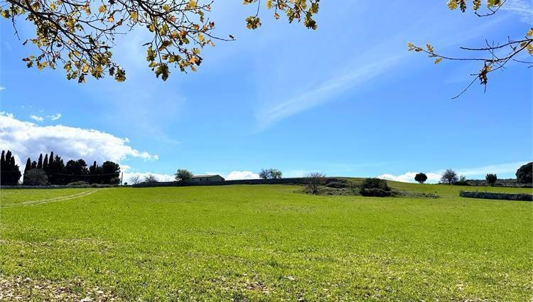 Terreno In Ferla, Italy In Ferla, Sicily, Italy For Sale (15090932)