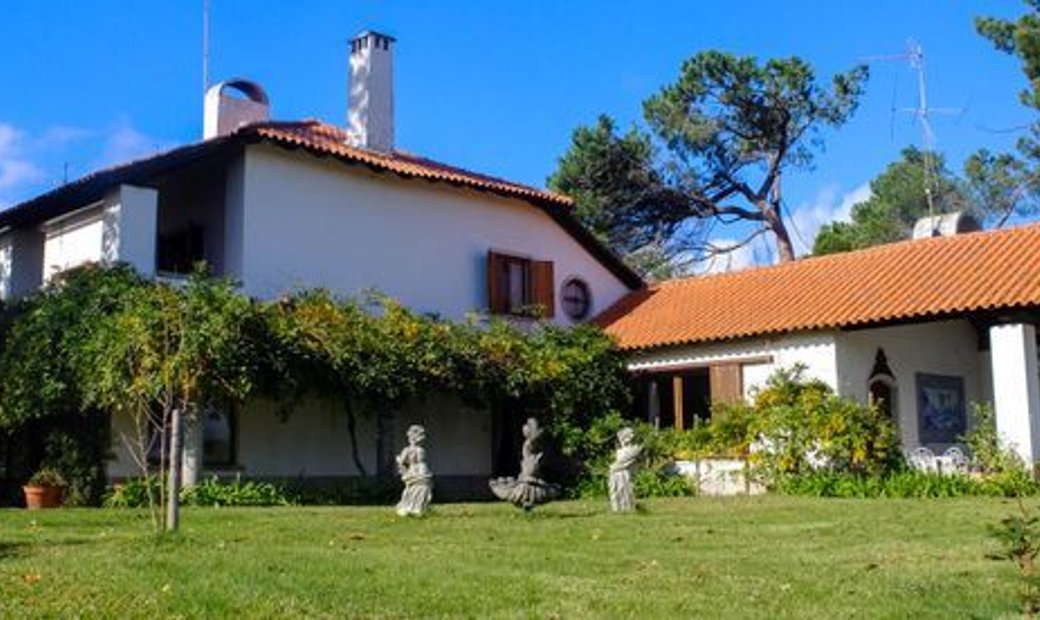 Quinta Para Venda Candosa , Tábua In Candosa, Coimbra District ...