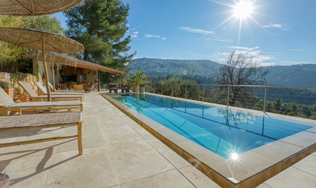 Red Cedar In La Cadière D'azur, Provence Alpes Côte D'azur, France For ...