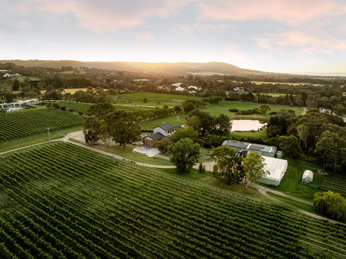 Healthy Wines From A Sustainable Vineyard In A In Dromana, Victoria ...