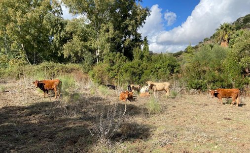 Luxury mountain view country homes for sale in Valverde del Camino ...