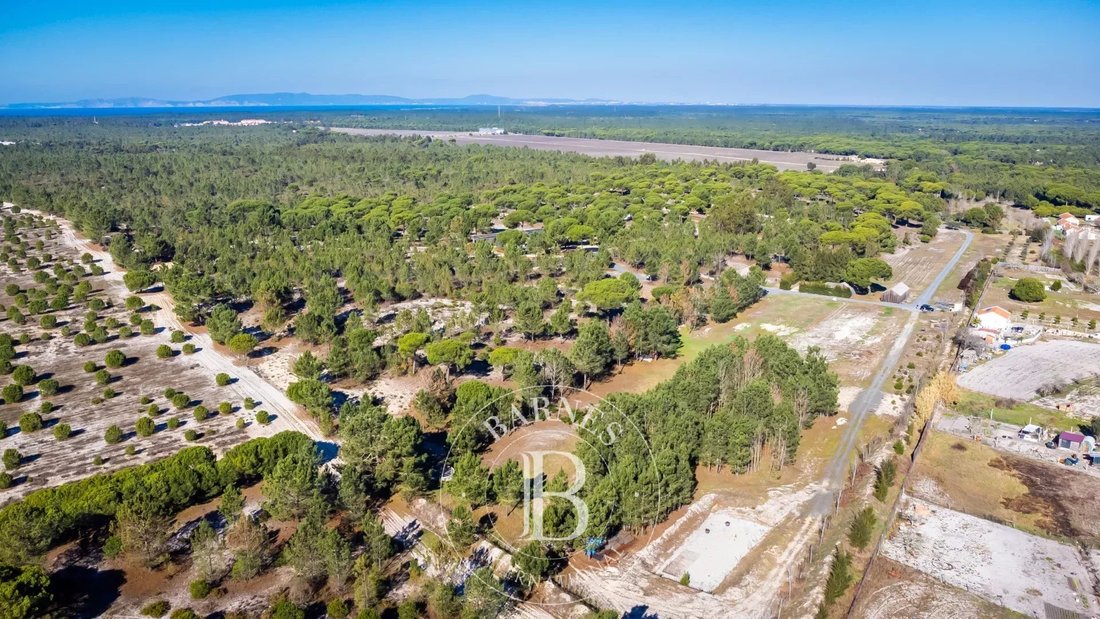 Tourism Project In Comporta, Setubal, Portugal For Sale (15114686)