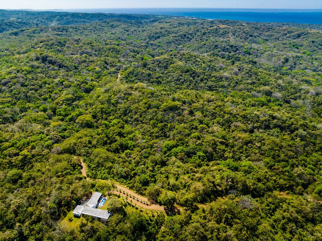Lush Villa Retreat In Emerald Woods, Guanacaste Province, Costa Rica ...