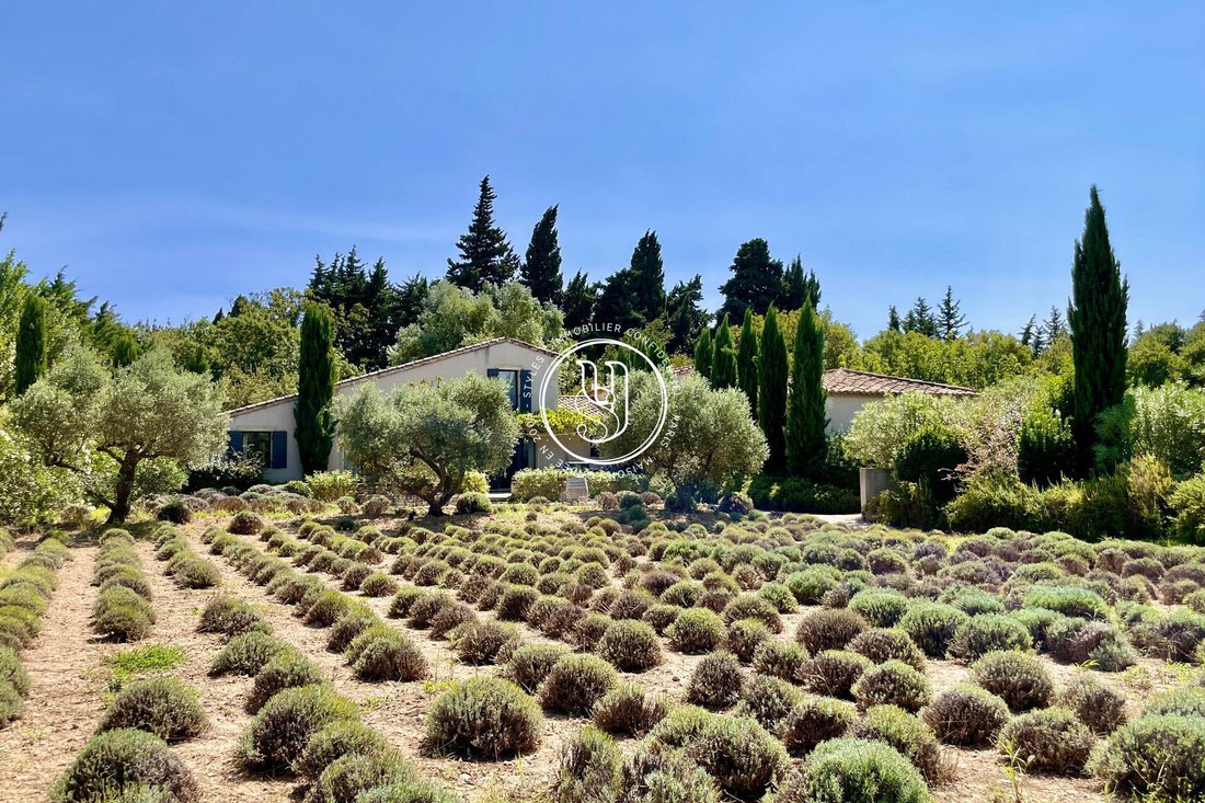 Au Coeur Des In Maussane Les Alpilles, Provence Alpes Côte D'azur ...