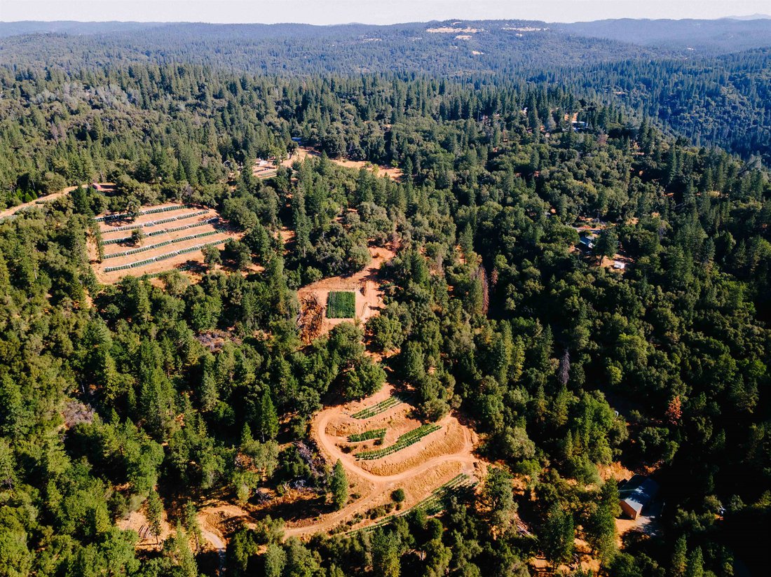 Strange Ranch In Wilseyville, California, United States For Sale (15163786)