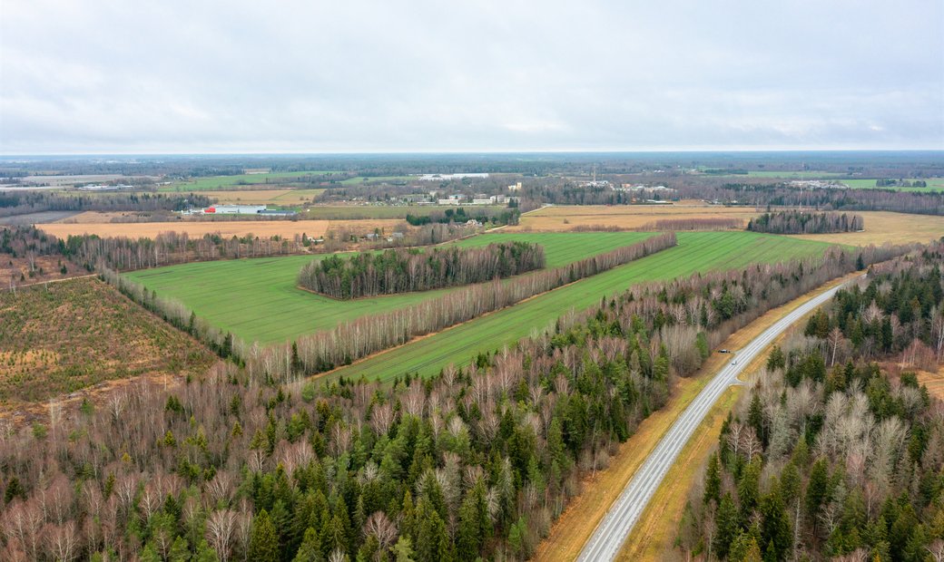 Kanguri In Rapla, Rapla County, Estonia For Sale (12565593)