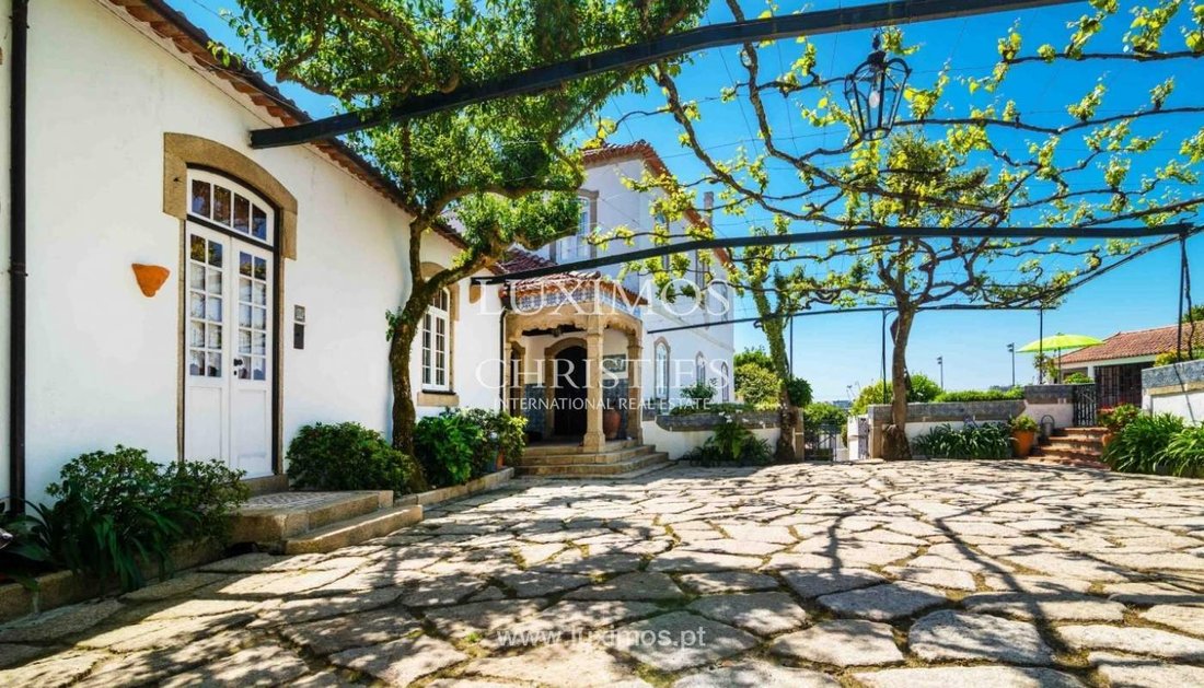 Vineyard With Swimming Pool, Maia, Porto, In Maia, Porto District ...
