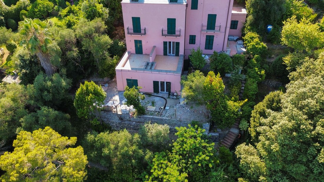 Santa Margherita, Seafront, Sea View, Terrace, In Pedale, Liguria ...