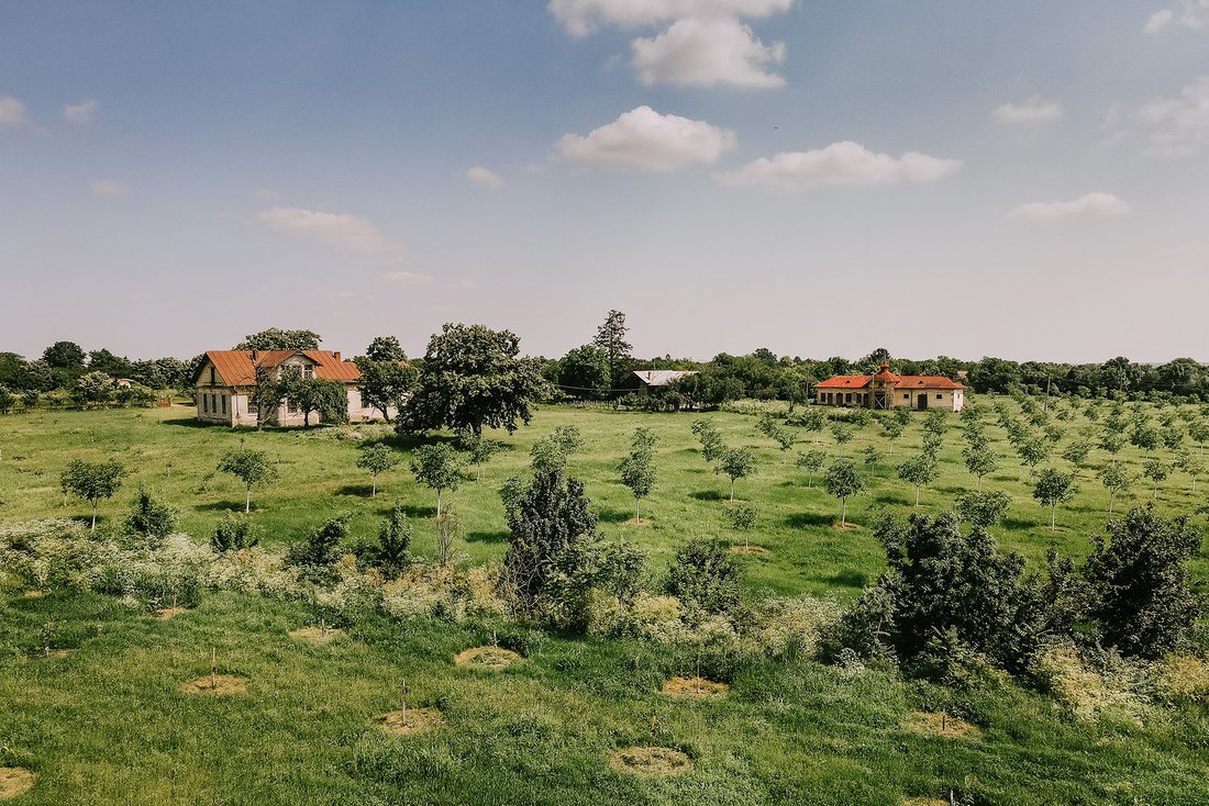 Poenaru Mansion In Dobra, Mehedinți County, Romania For Sale (13486295)