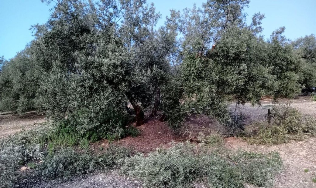 Finca Rústica Venta Málaga In Archidona, Andalusia, Spain For Sale ...