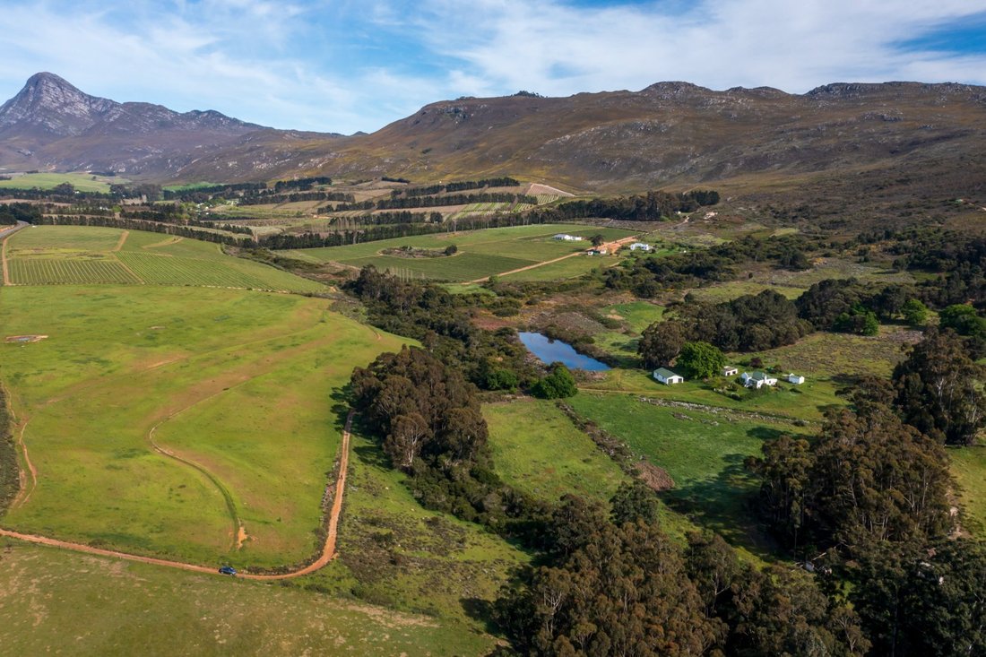 Don't Miss This One In The Popular In Hermanus, Western Cape, South ...