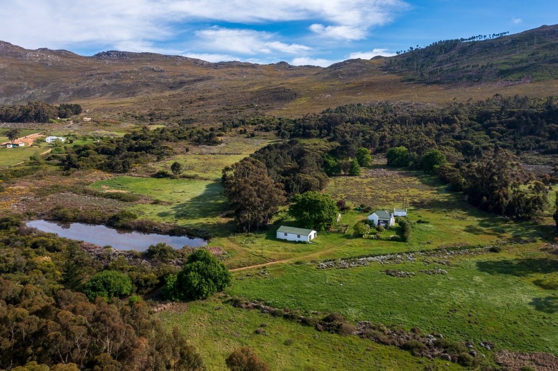 Don't Miss This One In The Popular In Hermanus, Western Cape, South ...