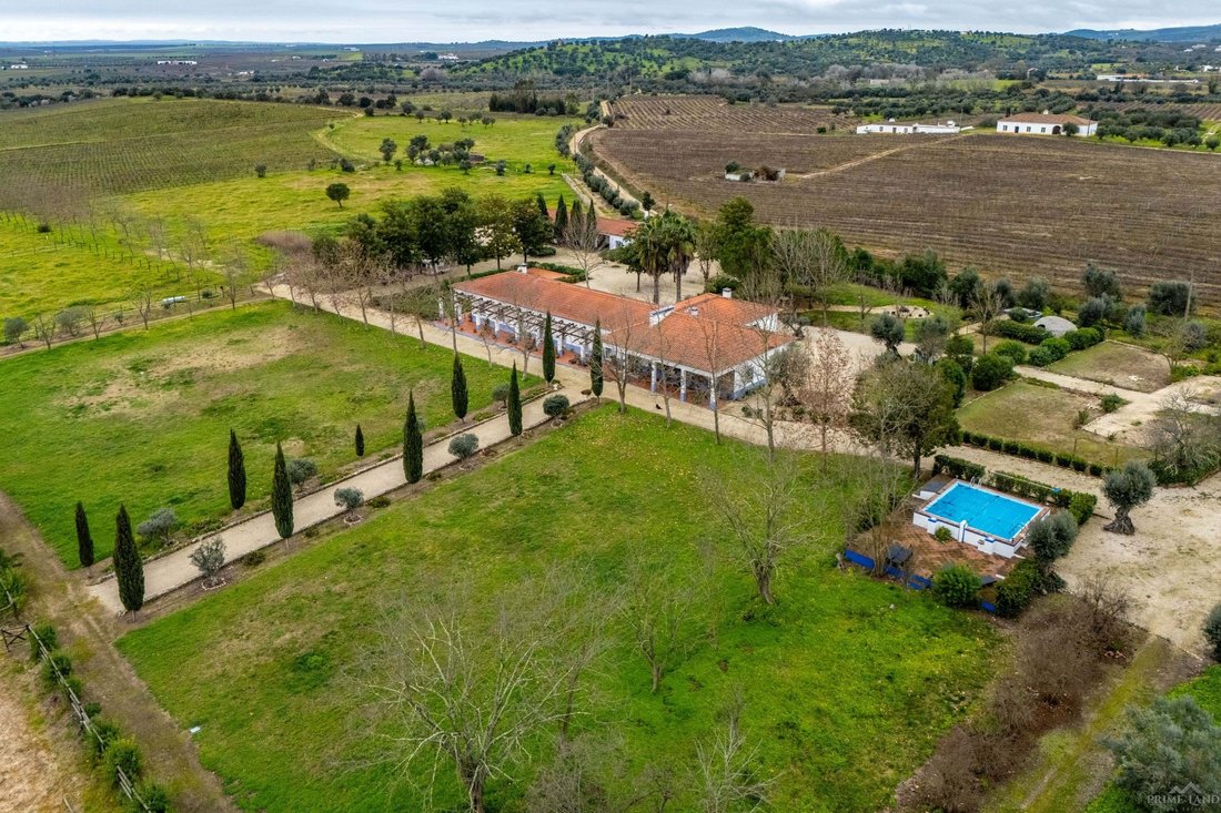 Farm In Selmes In Selmes, Beja District, Portugal For Sale (15249853)