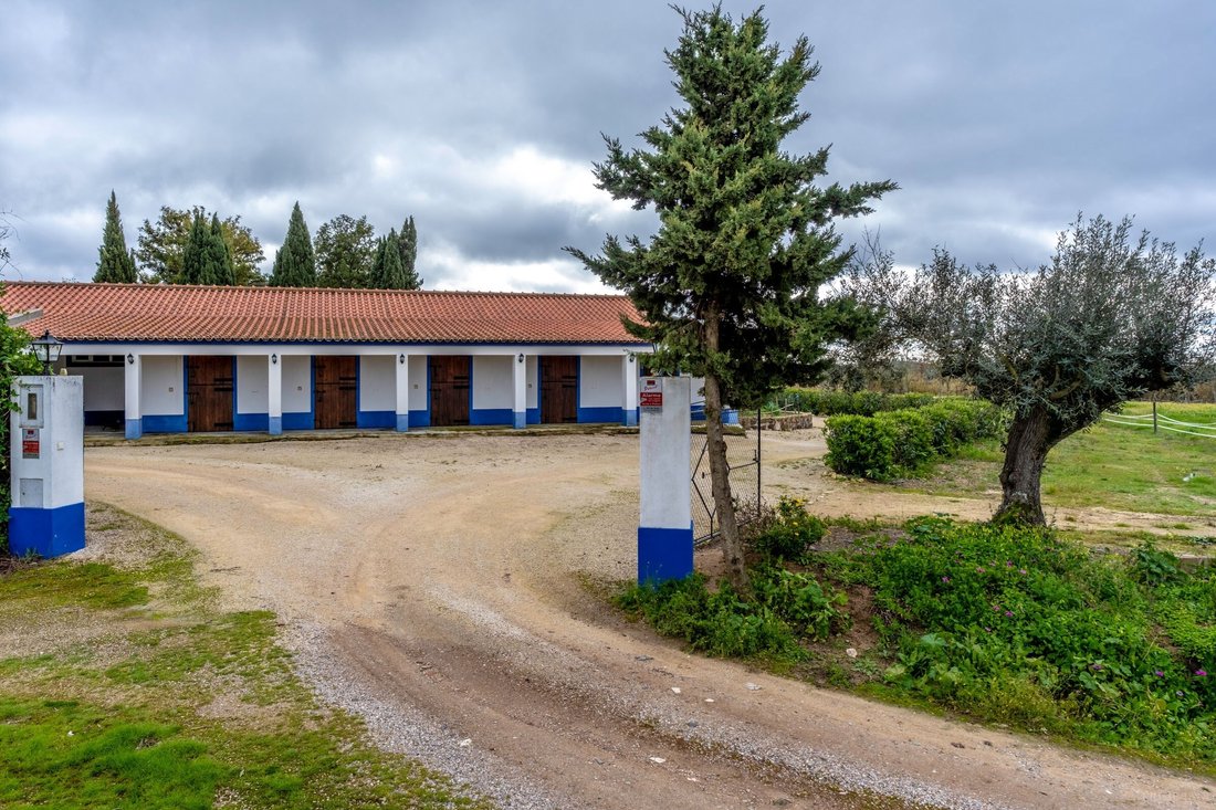 Farm In Selmes In Selmes, Beja District, Portugal For Sale (15249853)