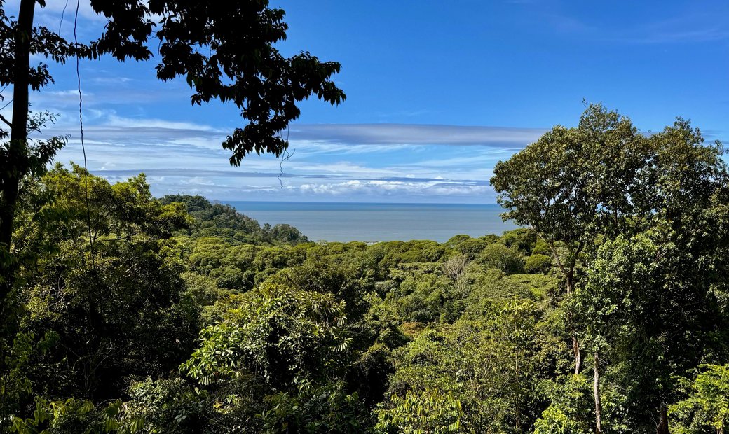 Amazing Ocean View / Forest 7 Acres In Piñuela, Puntarenas Province ...