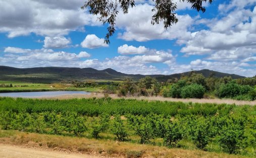 Luxury farm ranches with terrace for sale in McGregor, Western Cape ...