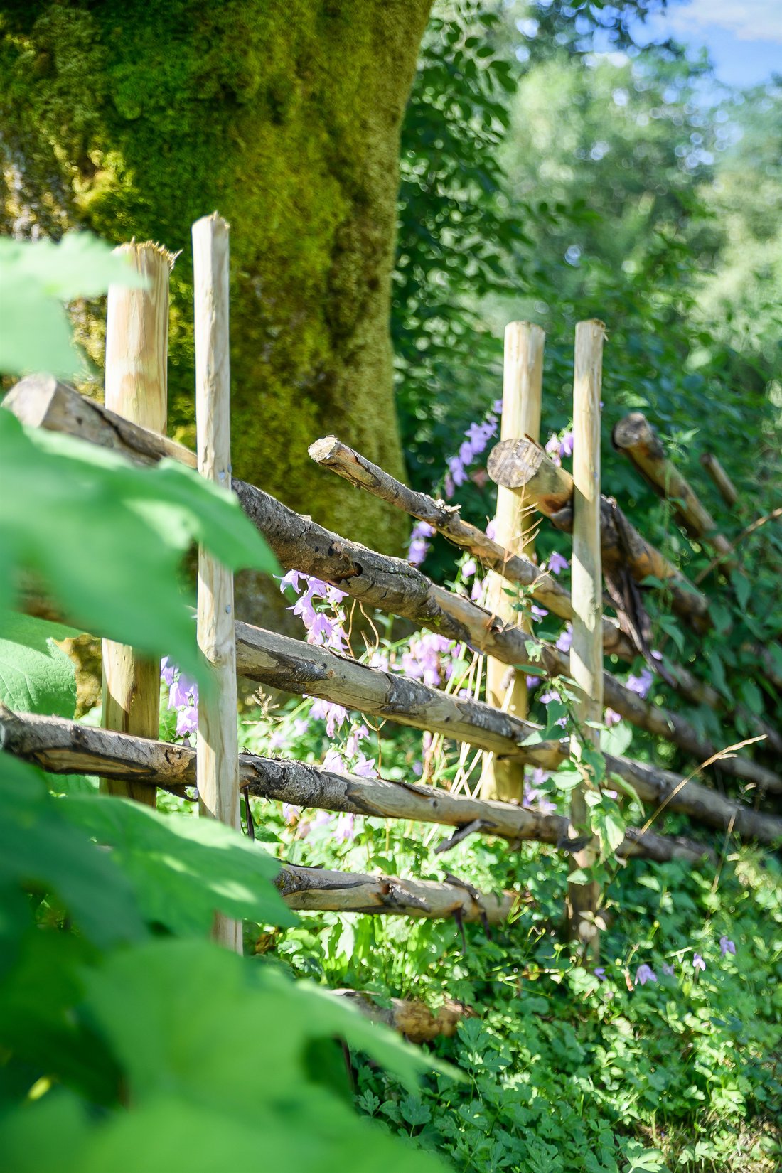 Forestry Farm In The Beautiful Southwest Of In Torup, Halland County ...