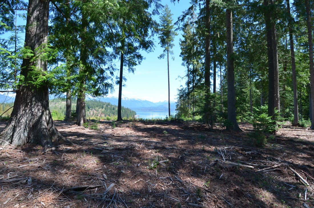 Camp Bay In Sagle, Idaho, United States For Sale (15279440)