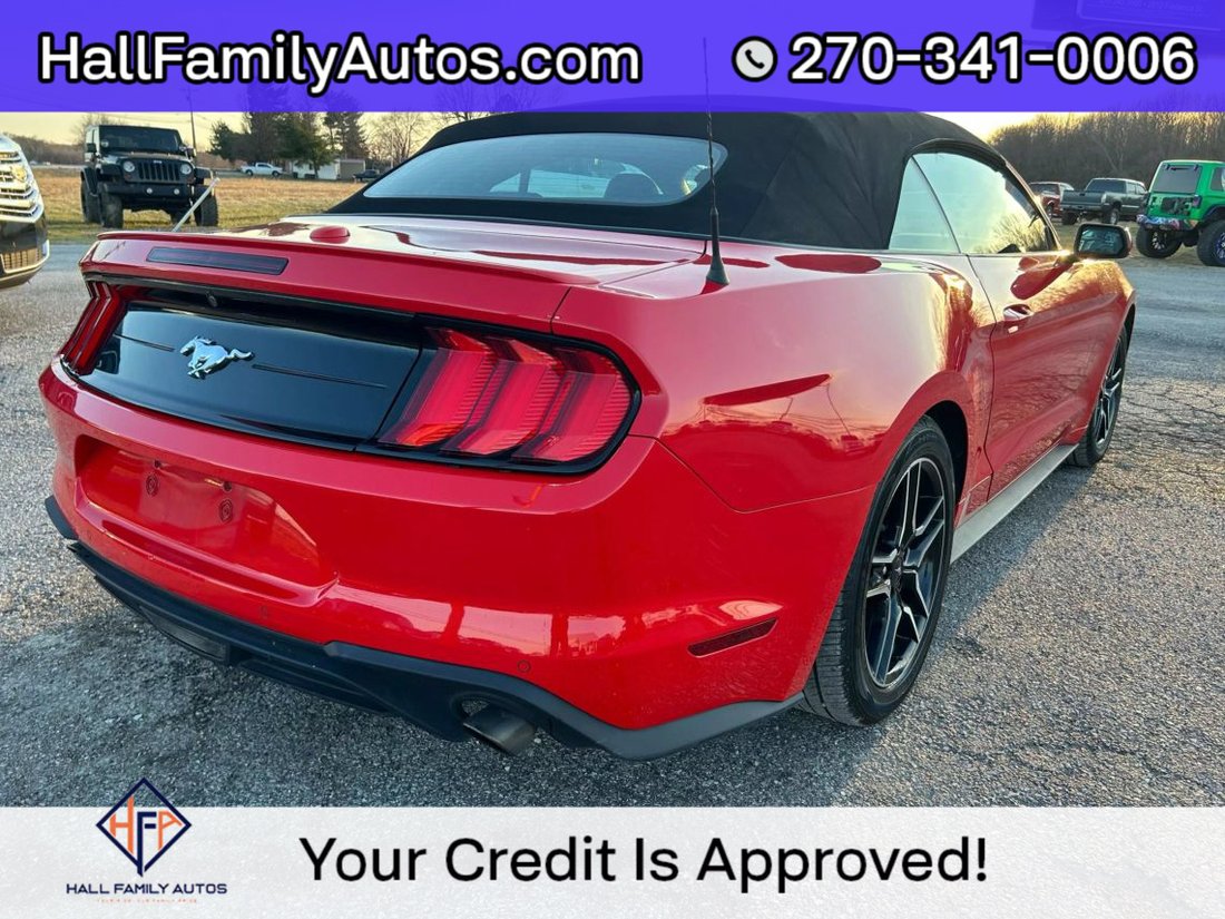 2022 Ford Mustang In Maceo, Ky, United States For Sale (15294650)