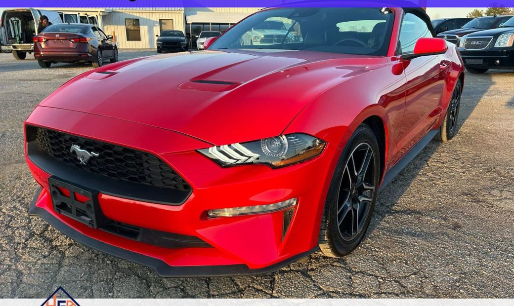 2022 Ford Mustang In Maceo, Ky, United States For Sale (15294650)