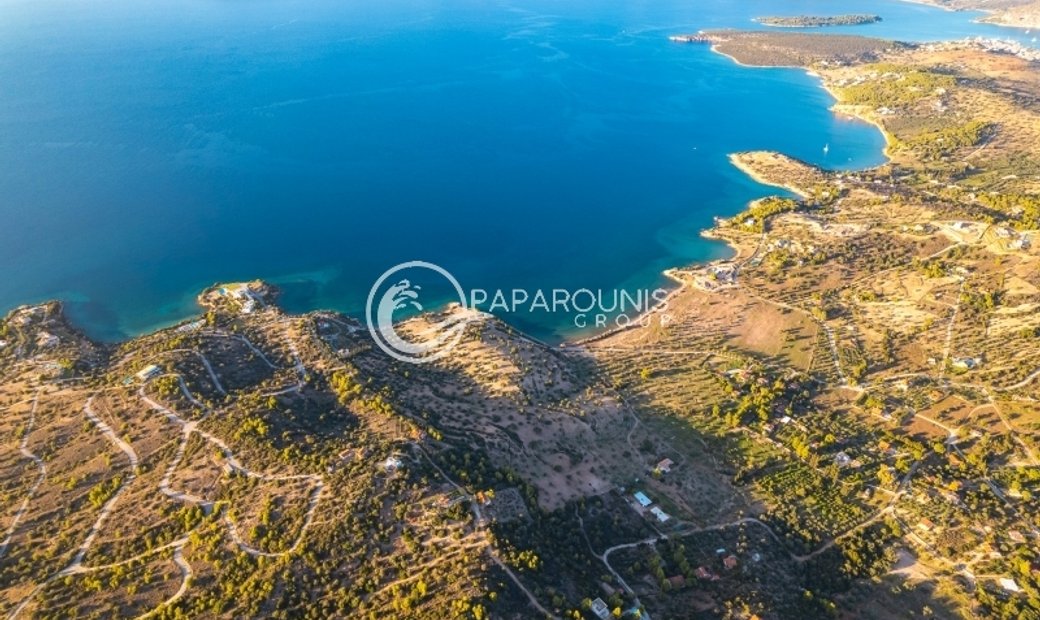 Agricultural 20000 Sq.M For Sale In Koinotita Kranidiou, Kranidi ...