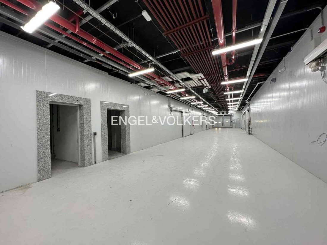 Cold Storage | Chiller | Temperature En Dubai, United Arab Emirates En ...