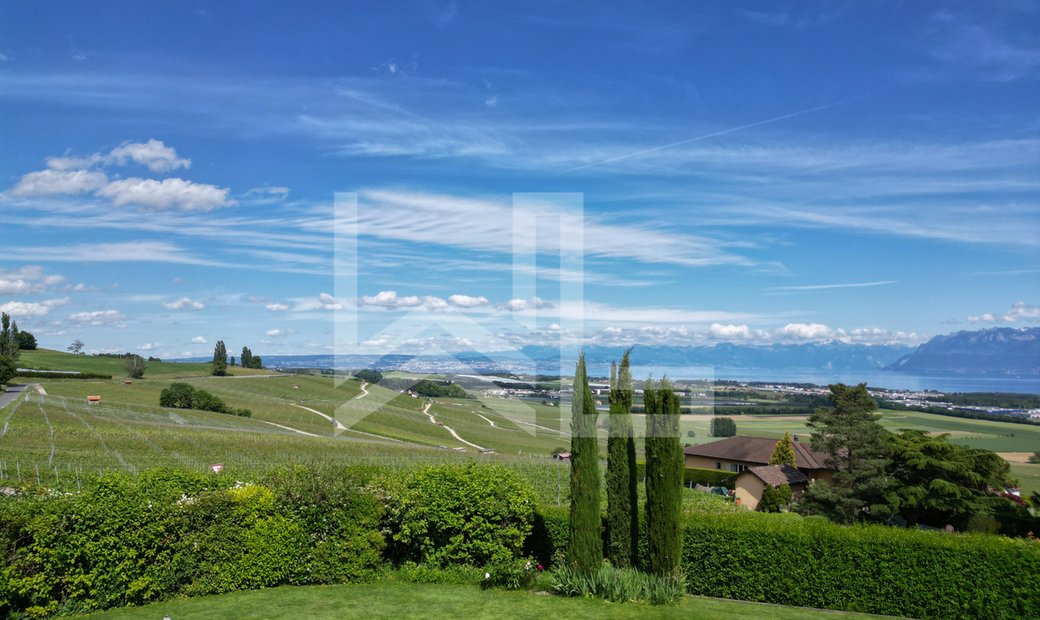 Villa Avec Vue Imprenable Sur La Côte, Le Lac Et In Féchy, Vaud ...
