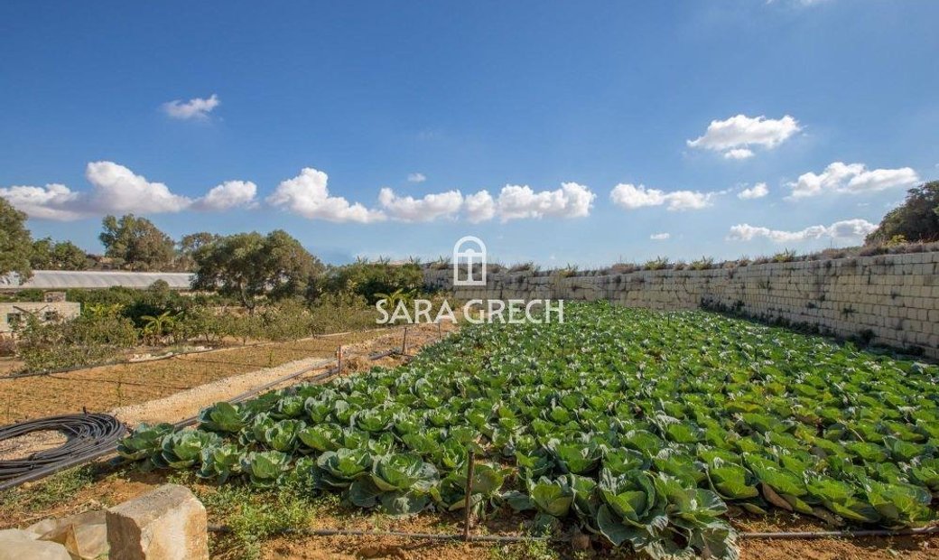 House Of Character In Dingli | West In ħad Dingli, Malta For Sale ...