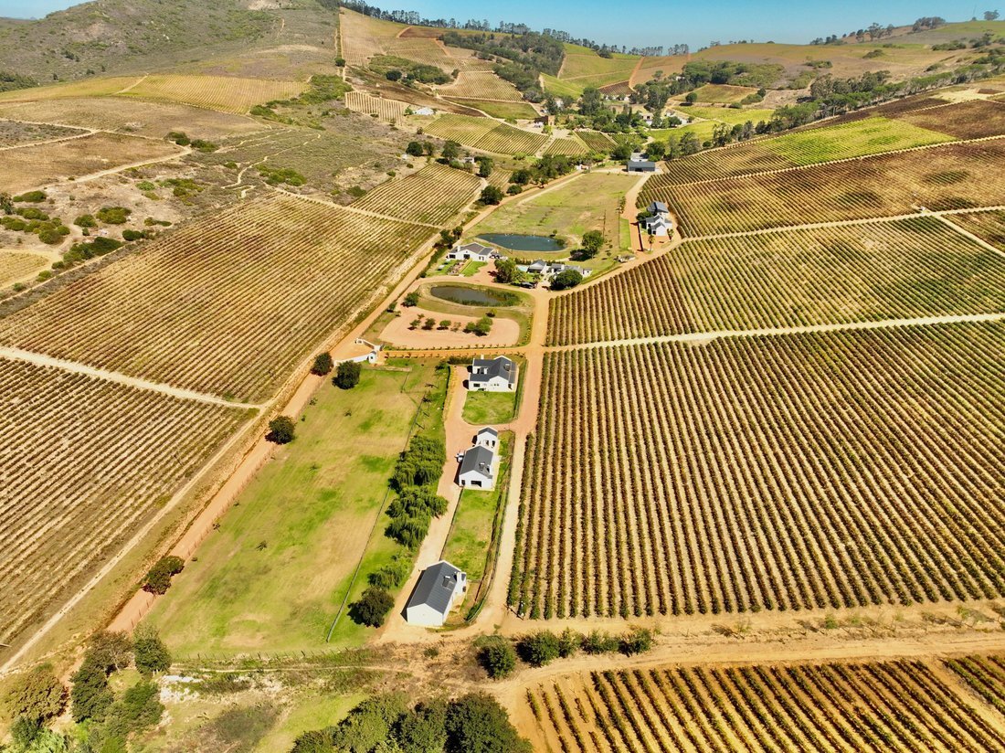 A Boutique Hospitality Wine Farm In Stellenbosch, Western Cape, South ...