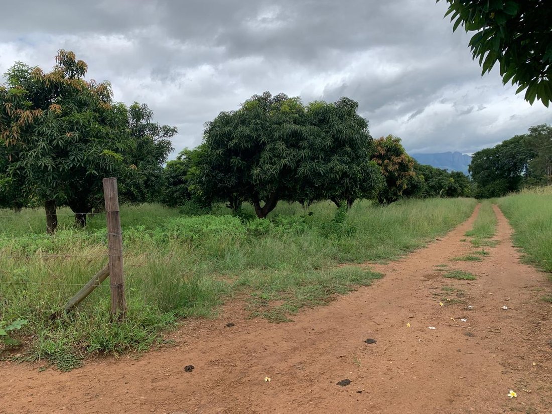 Exclusive Agricultural Property In Limpopo For In Calais, Limpopo ...