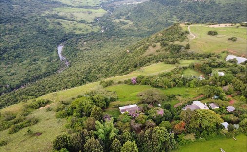 Luxury farm ranches with terrace for sale in Berry Hill, Hilton ...