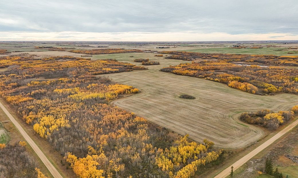 Ländliches Camrose County, Edmonton In Donalda, Alberta, Kanada Zu ...
