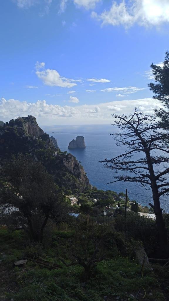 Capri Via Torina In Capri, Campania, Italy For Sale (15428781)