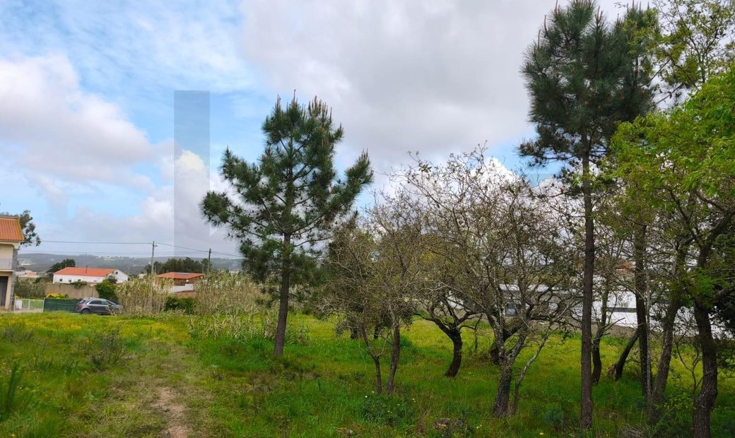 Mafra Land In Mafra, Lisbon, Portugal For Sale (15465586)