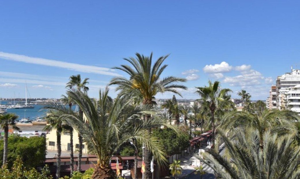 Ferienwohnung Torrevieja In Torrevieja, Land Valencia, Spanien Zu ...