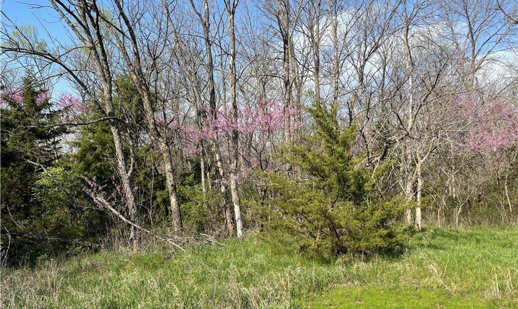 Farm And Agriculture Peculiar In Lake Annette, Missouri, United States ...