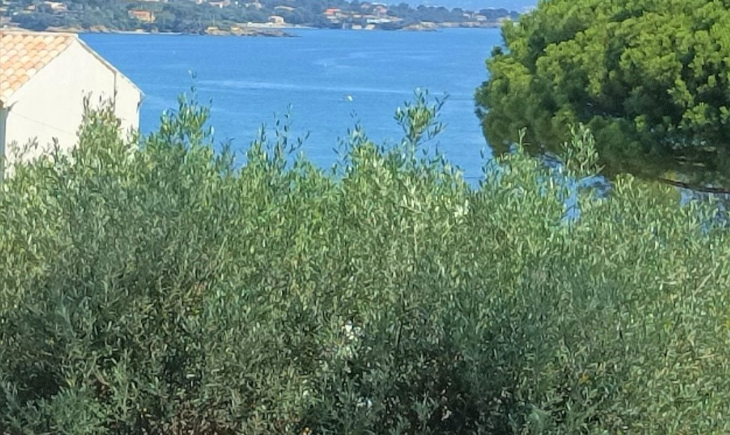 Apartment With Sea In Roquebrune Sur Argens, Provence Alpes Côte D'azur ...