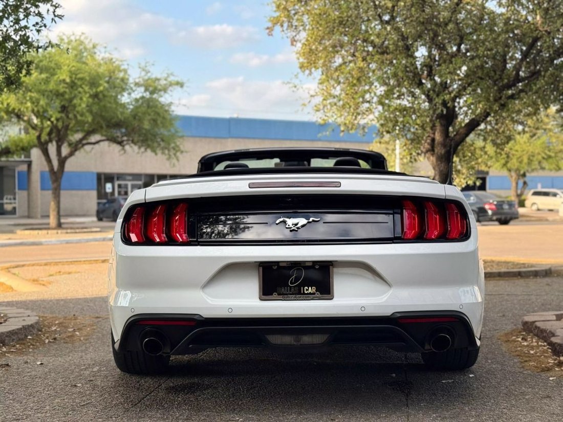 2022 Ford Mustang In Dallas, Tx, United States For Sale (15500543)