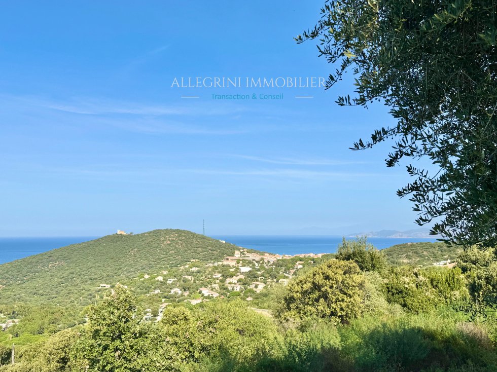 Corbara Large Building Plot Stunning Sea View In Corbara, Corsica ...
