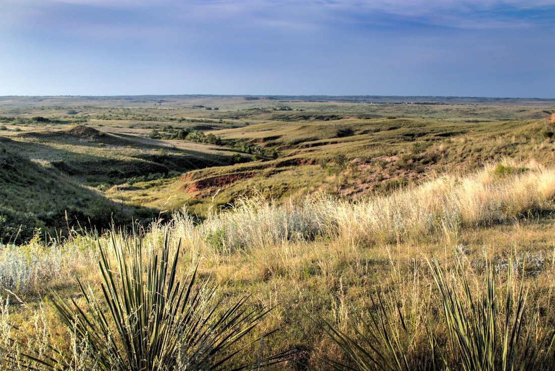 Terra Rosa Ranch In Quail, Texas, United States For Sale (15523045)