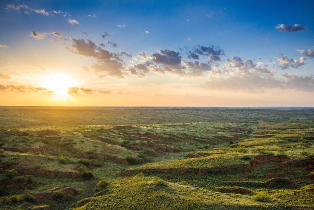 Terra Rosa Ranch In Quail, Texas, United States For Sale (15523045)