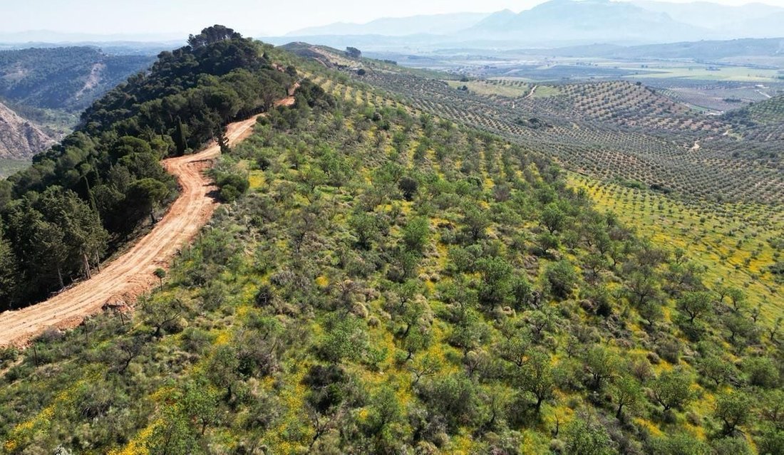 Plot For Rent In Archidona, Málaga In Archidona, Andalusien, Spanien Zu Vermieten (15533388)