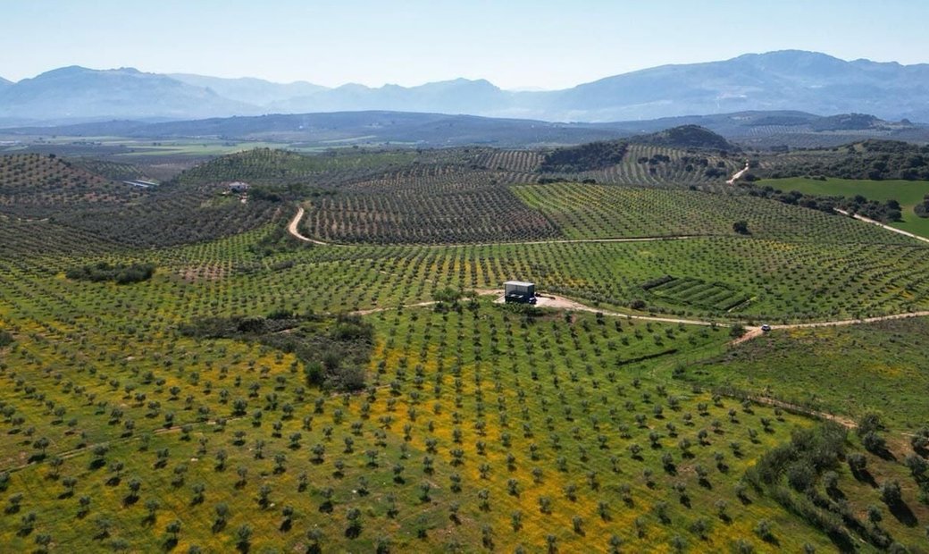 Plot For Rent In Archidona, Málaga In Archidona, Andalusien, Spanien Zu Vermieten (15533388)