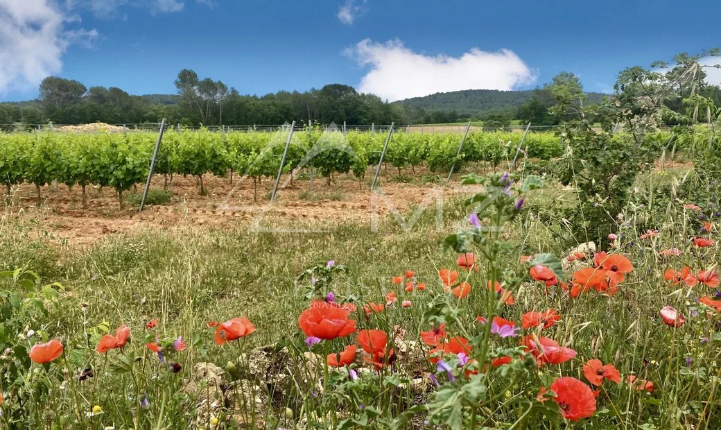 Rare Esclans Valley Vineyard And Winery In La Motte, France For Sale ...